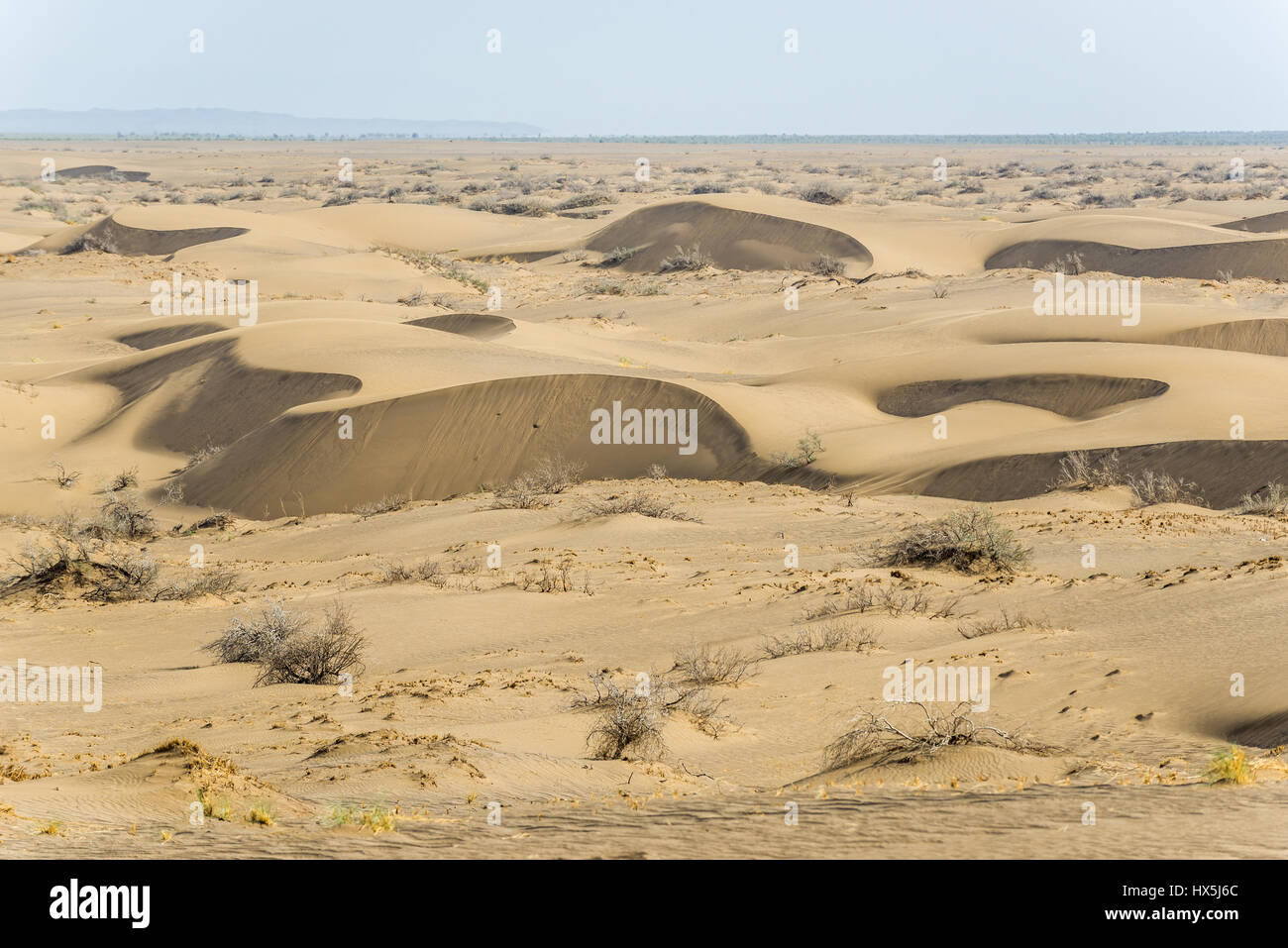 Barchan Dunes Vs Transverse Dunes