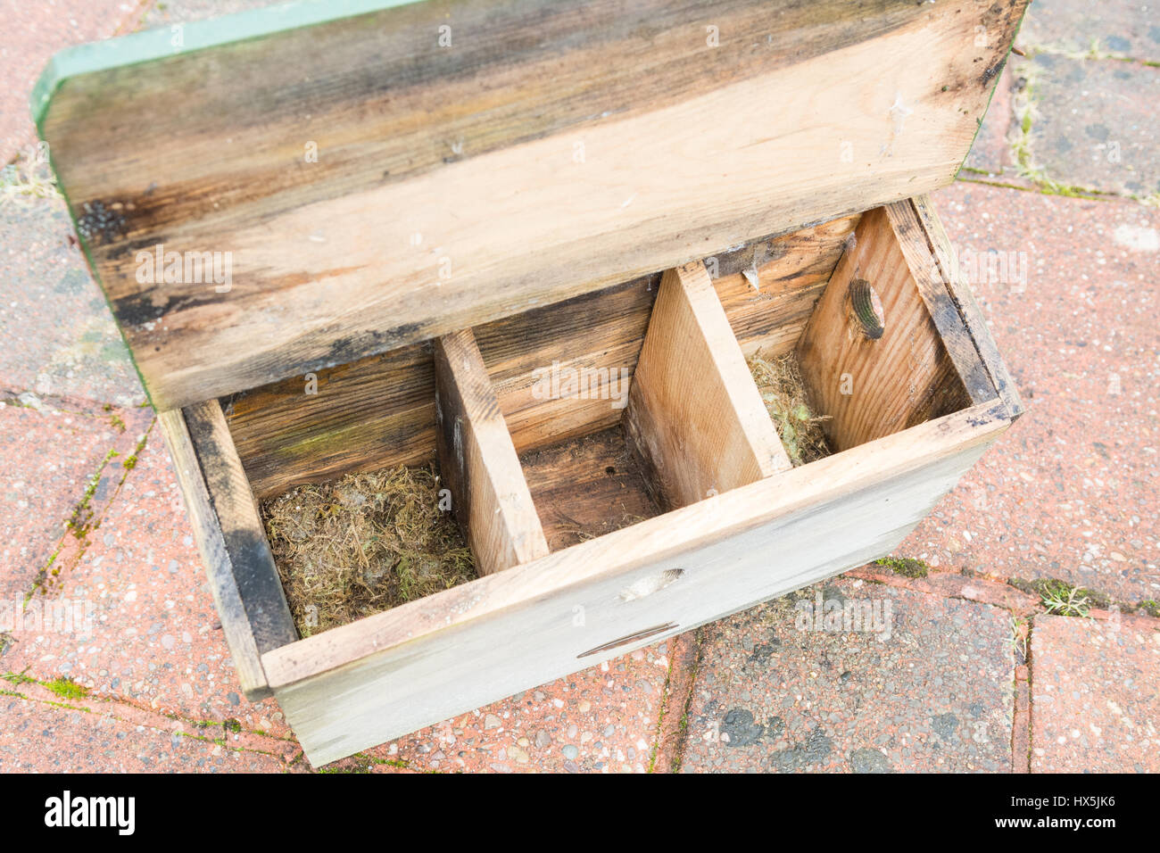 Cleaning nest boxes hi-res stock photography and images - Alamy