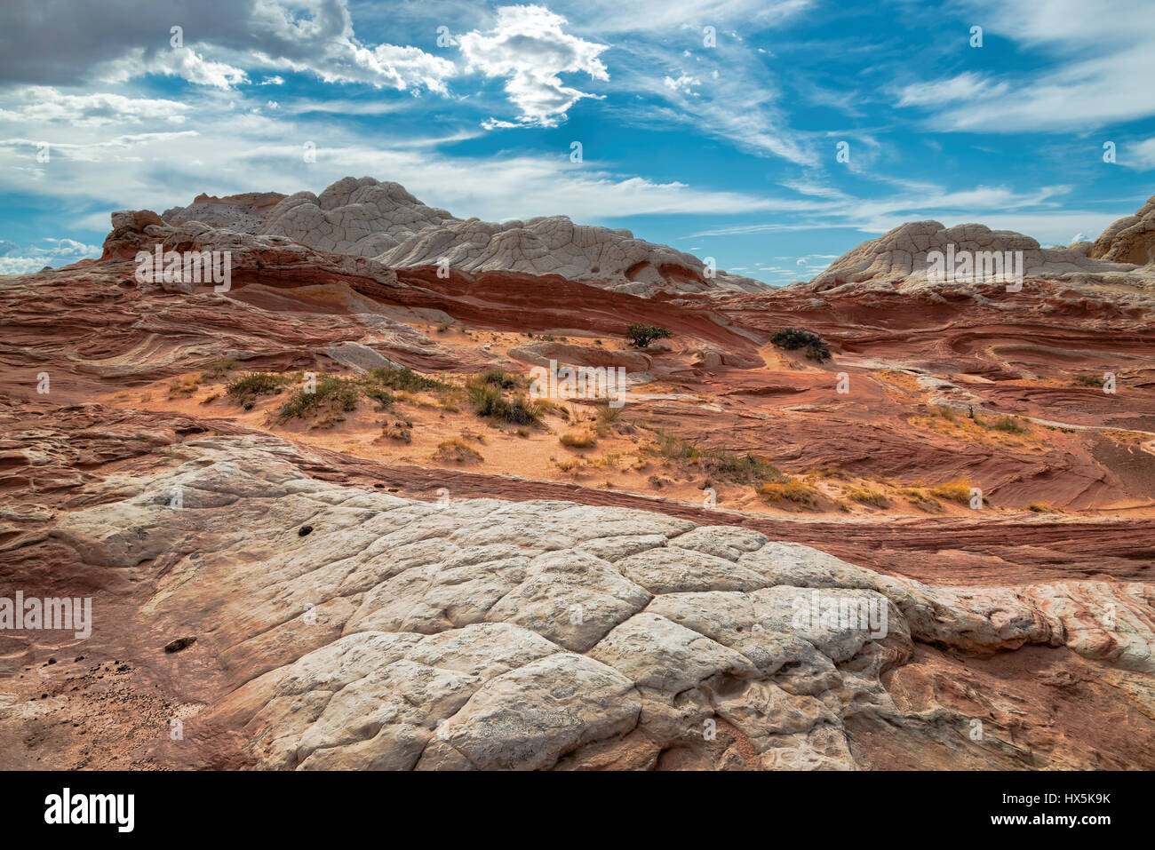Paria canyon vermilion cliff wilderness vermilion cliffs national ...