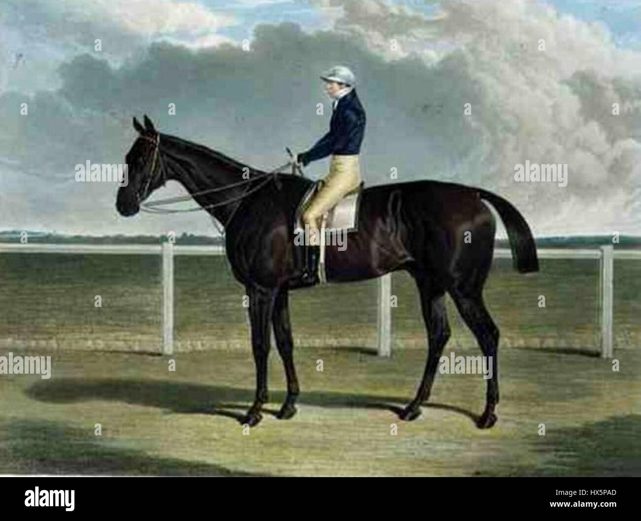 Margrave horse hi-res stock photography and images - Alamy