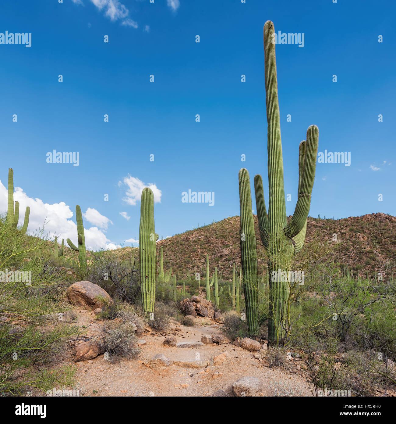 Yuma arizona desert scenic hi-res stock photography and images - Alamy