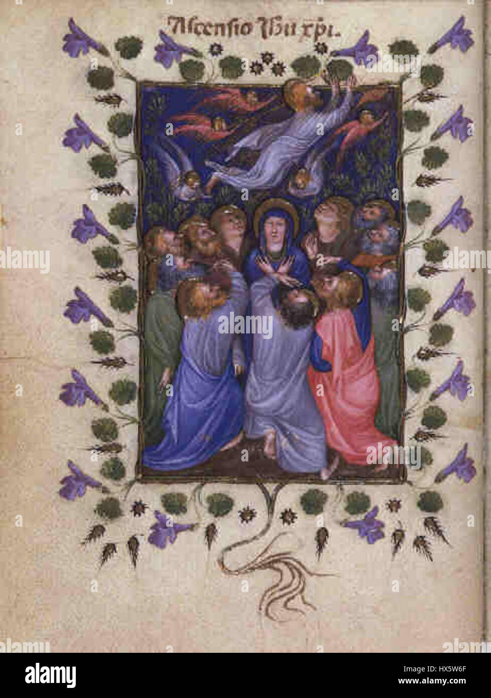 Bodmer library hi-res stock photography and images - Alamy