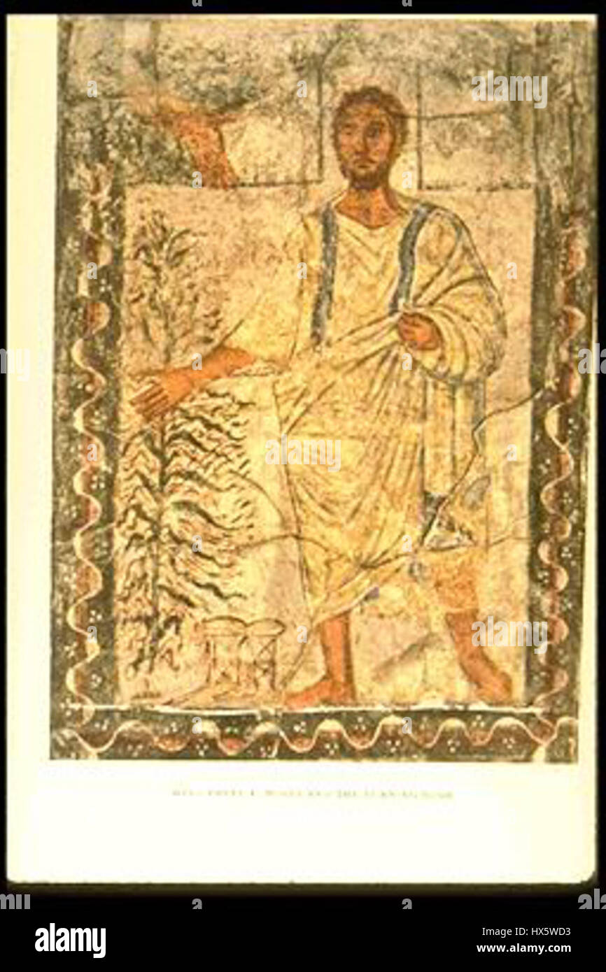 Mose gallery hi-res stock photography and images - Alamy