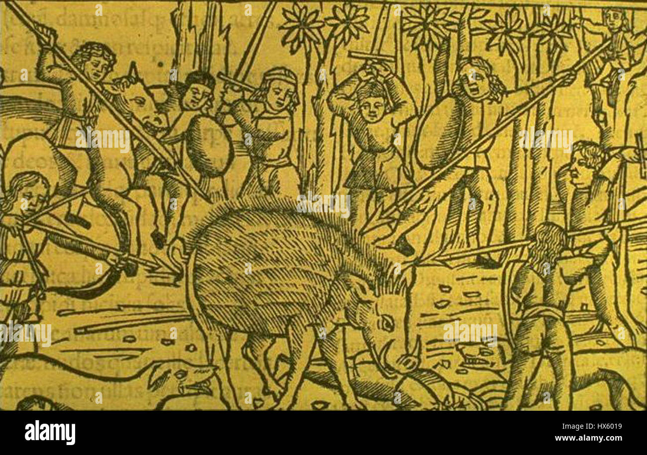 Regius Calydonian Boar Stock Photo - Alamy