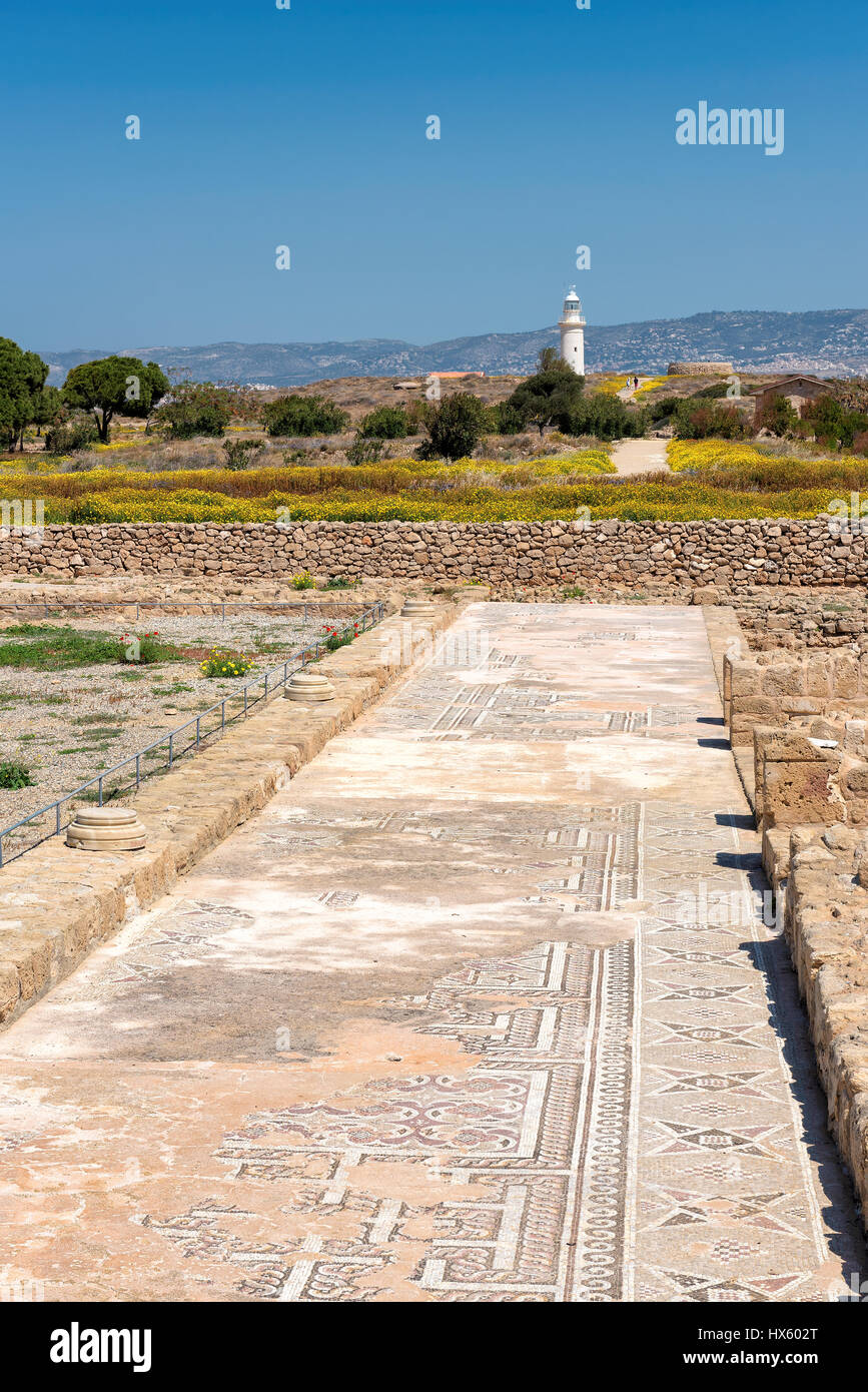 Ancient mosaic in Paphos Archaeological Park and Lighthouse, Kato ...