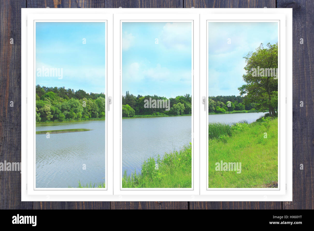 office panoramic windows with view to the beautiful forest river Stock ...