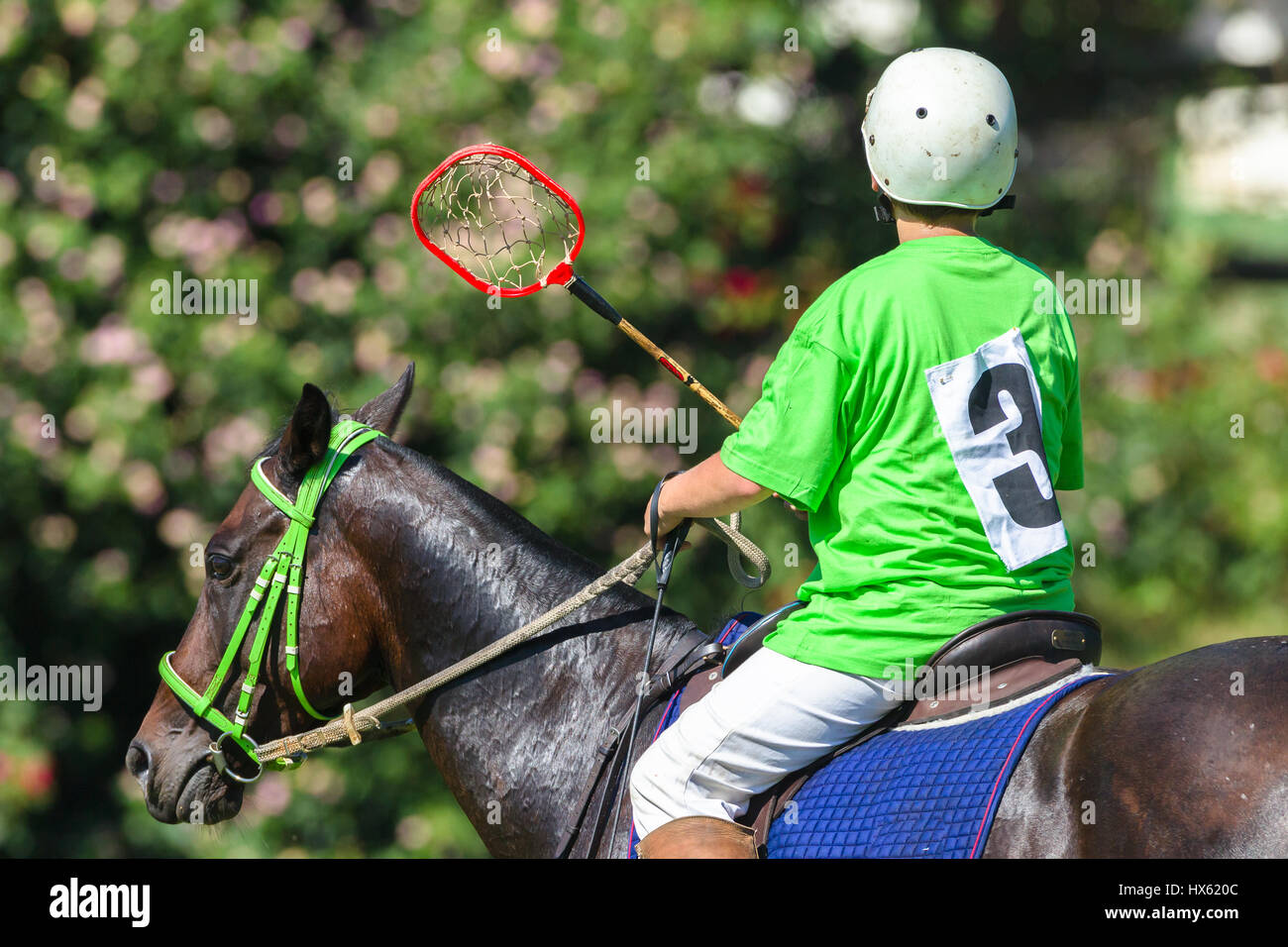 Polocrosse horse player closeup unidentified equestrian sport game ...