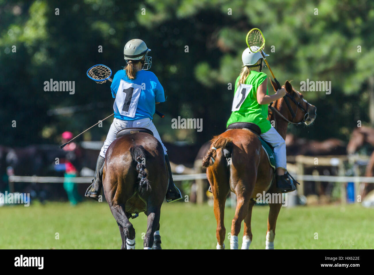 Polocrosse horse ponys players teenage girls unidentified equestrian ...