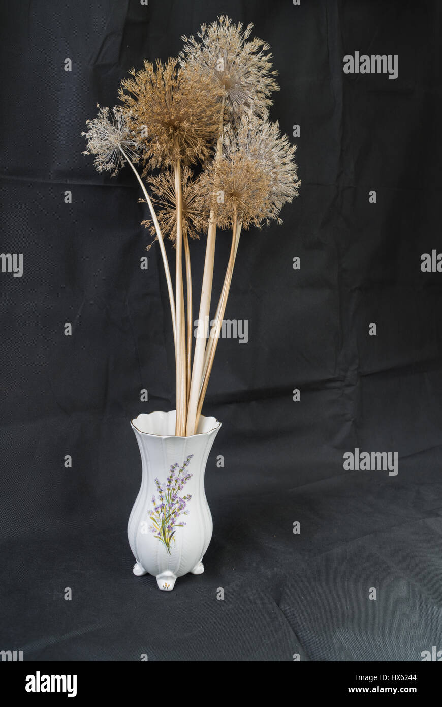 Dried allium vase hi-res stock photography and images - Alamy