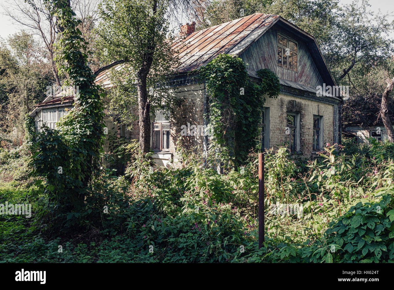 Slowly decaying buildings everywhere in Chernobyl Stock Photo - Alamy
