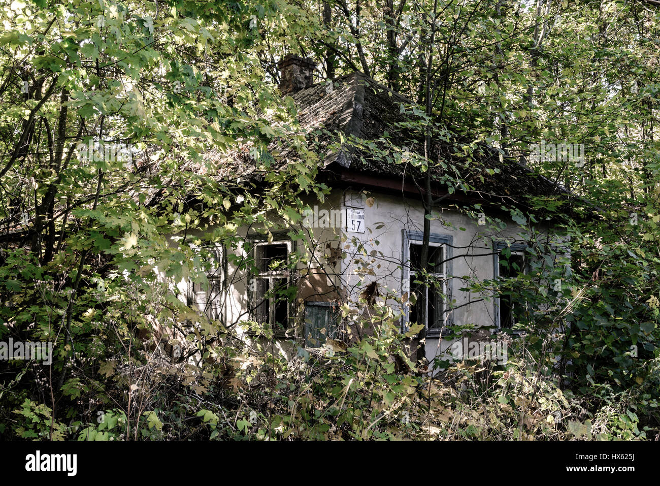 Slowly decaying buildings everywhere in Chernobyl Stock Photo - Alamy