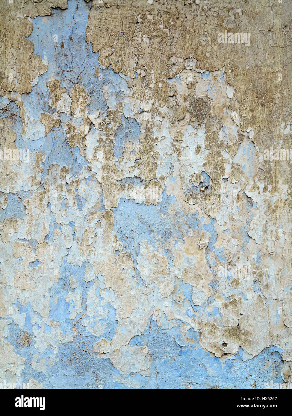 Detail of the weathered cracked plaster - grunge texture Stock Photo ...