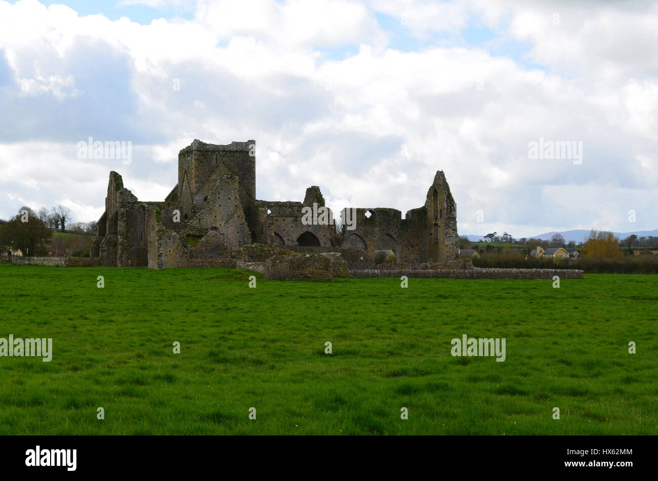 Lush scenic ruins of Hore Abbey in Ireland Stock Photo - Alamy