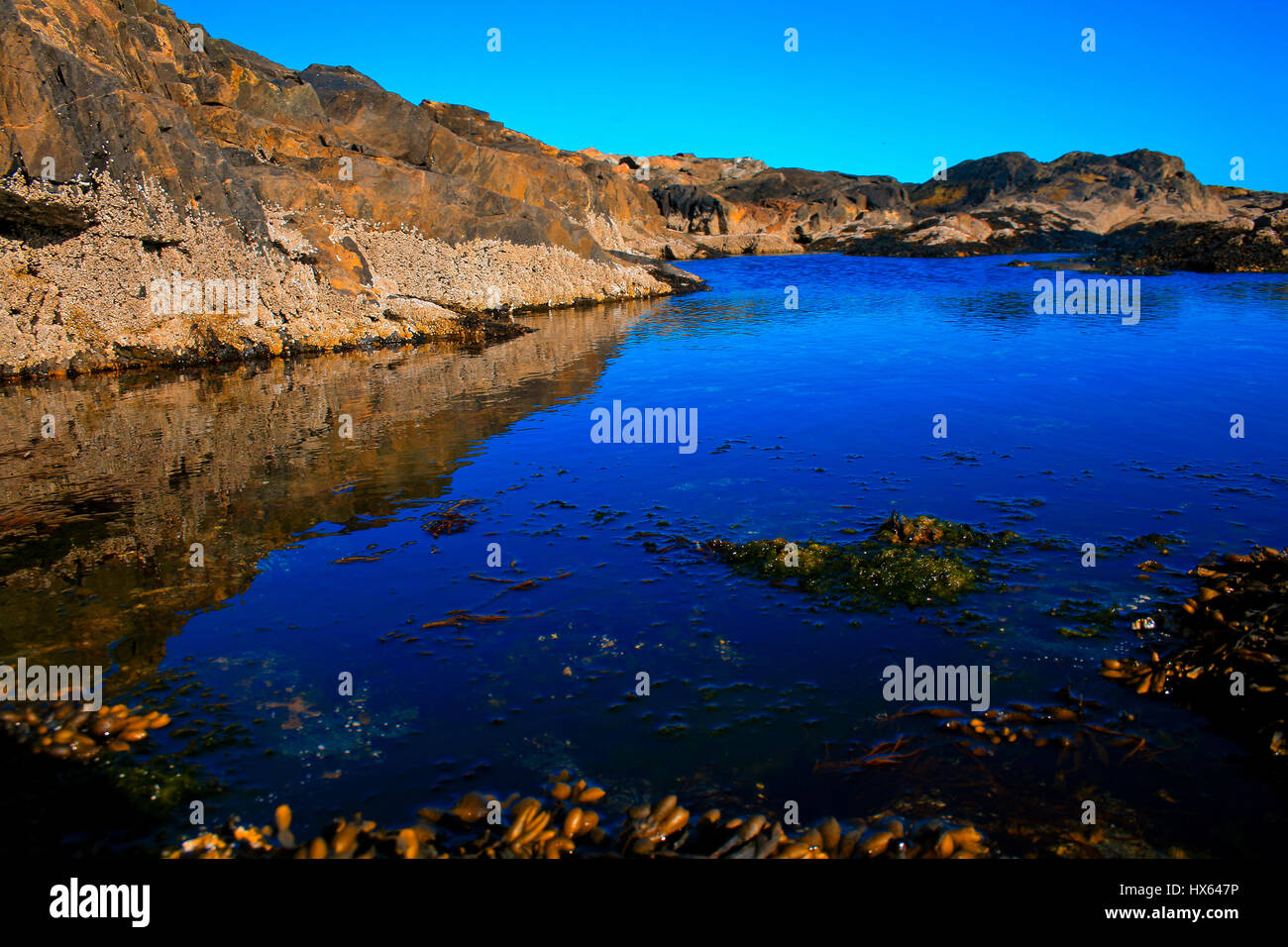 Tidal pools in Acadia National Park near Bar Harbor, Maine Stock Photo ...