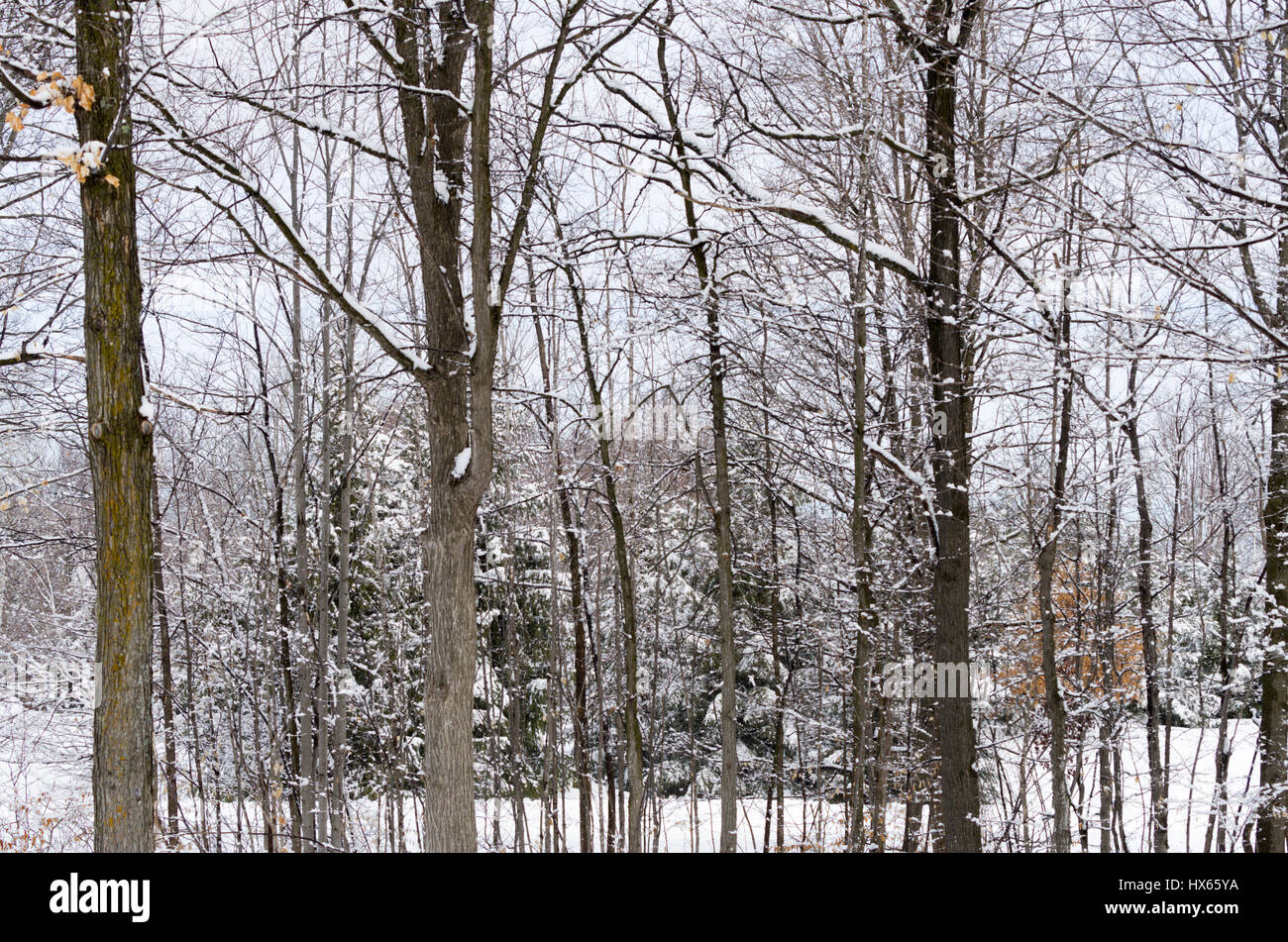 Unspringlike hi-res stock photography and images - Alamy