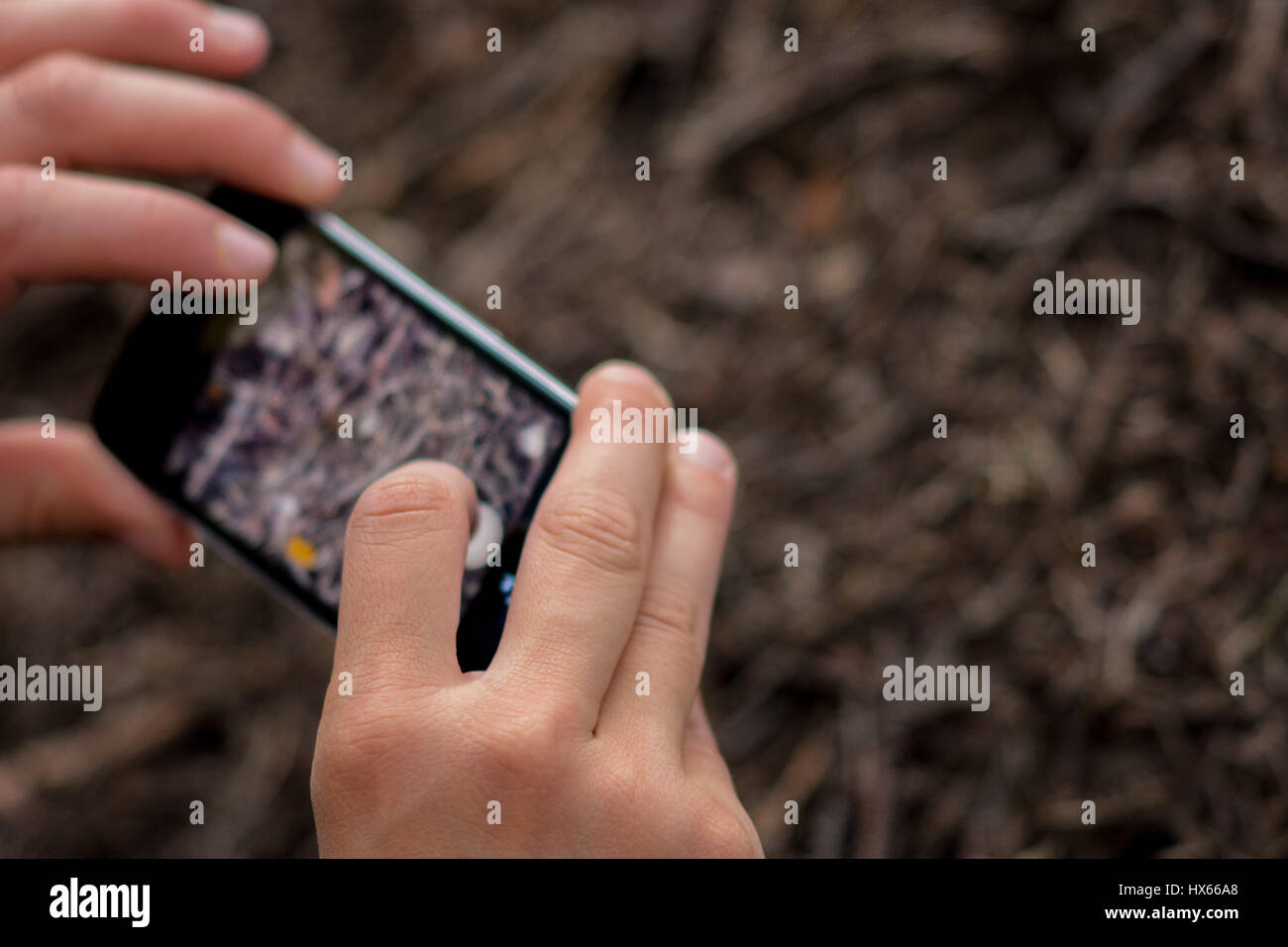 Up close use of a smart phone to photography nature with depth of field ...