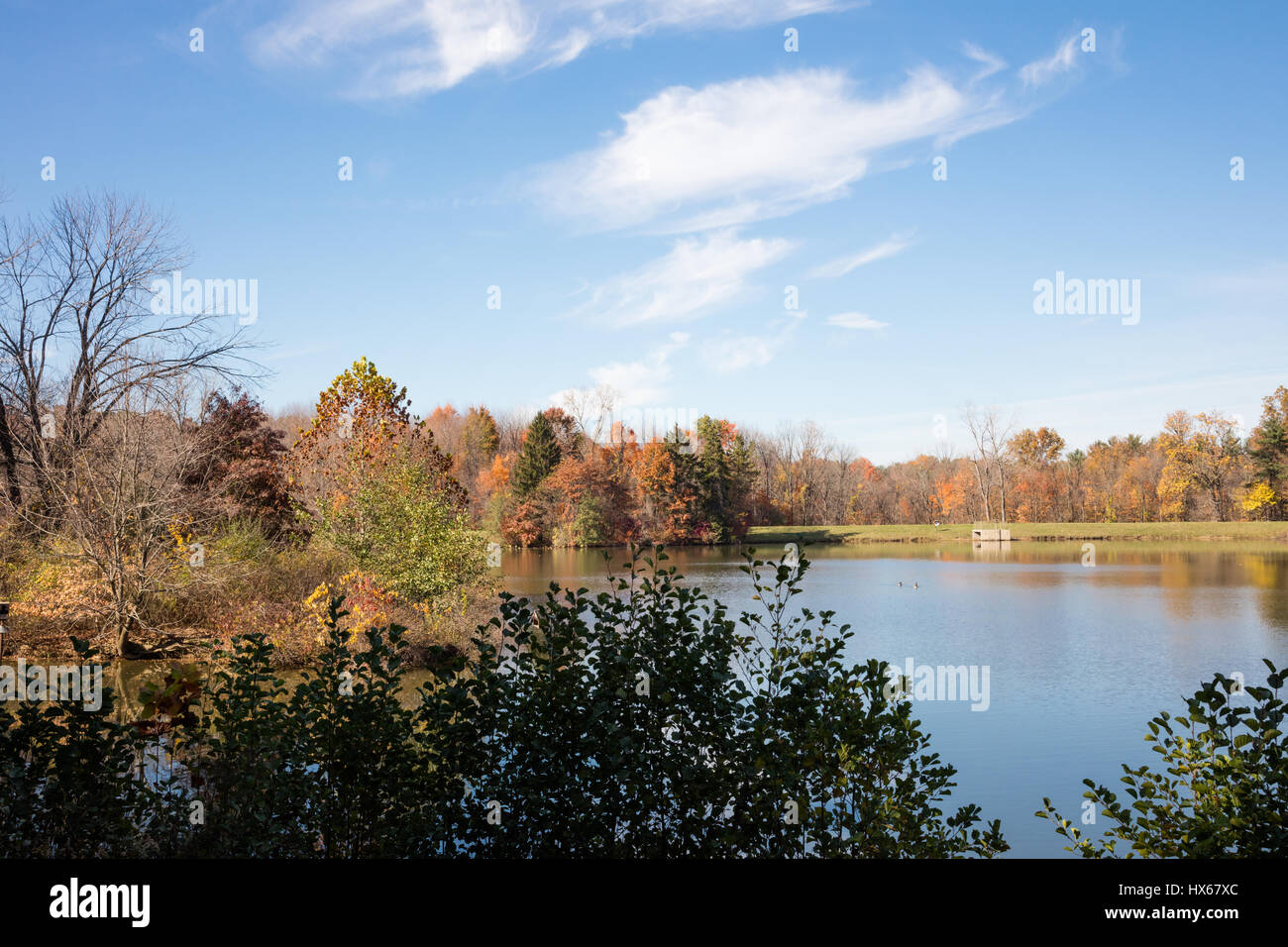 Fall autumn seasonal leaf colors and lake in Ohio USA Stock Photo - Alamy