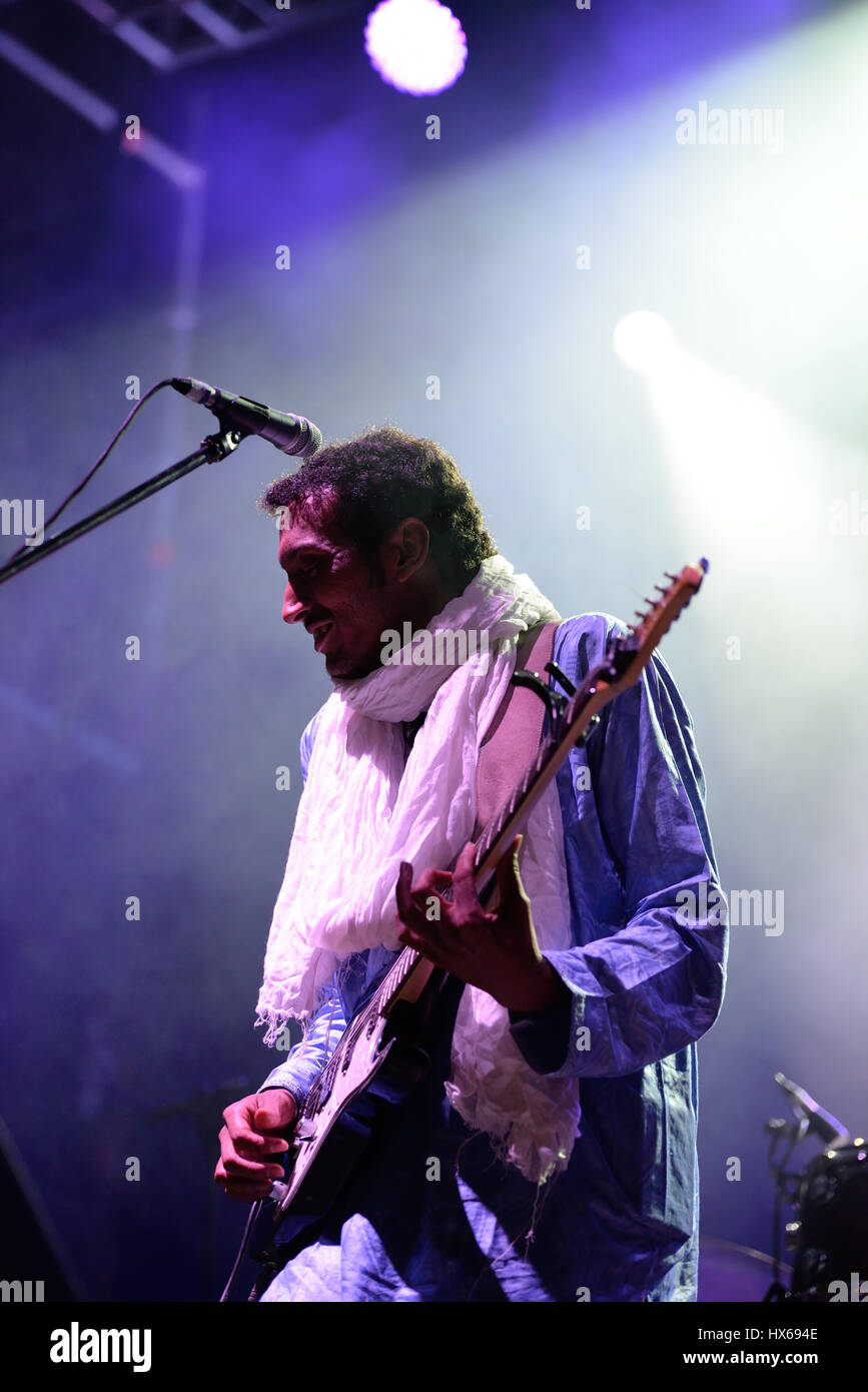 Bombino hi-res stock photography and images - Alamy