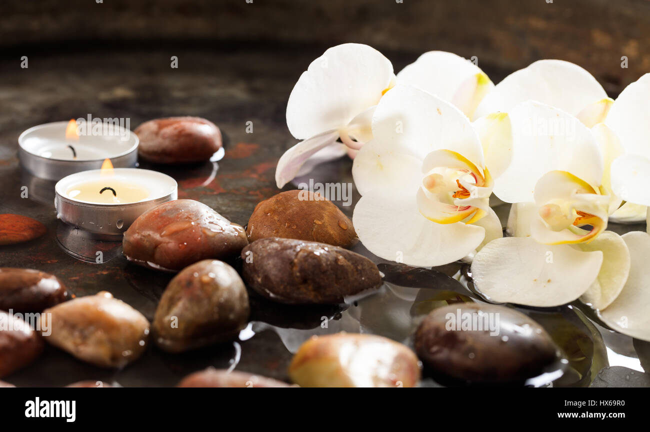 Orchids and pebbles in water background, spa concept Stock Photo - Alamy