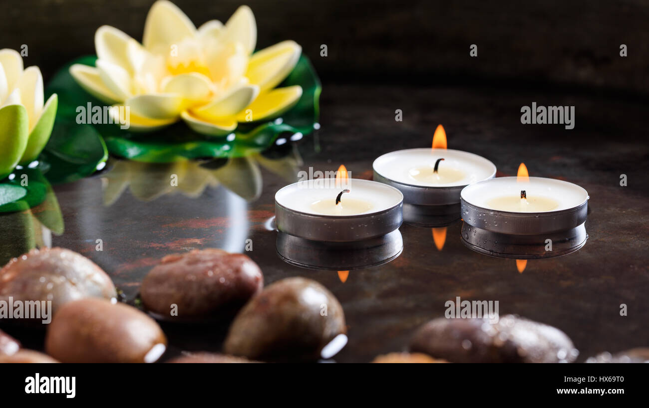 Waterlilies and pebbles in water background, spa concept Stock Photo ...