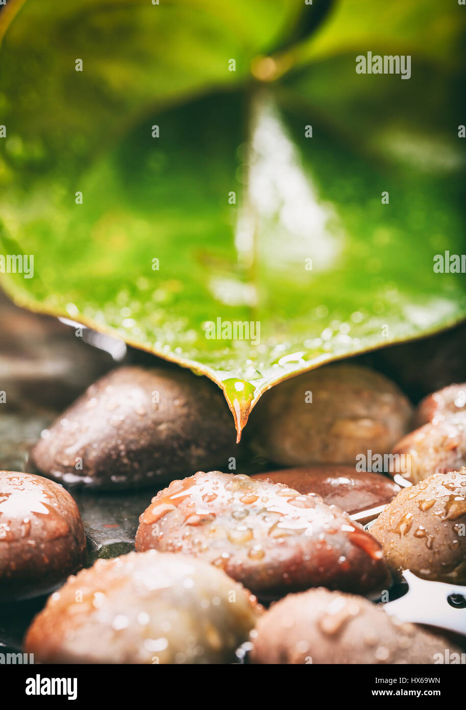 Pebbles in water background, spa concept Stock Photo - Alamy