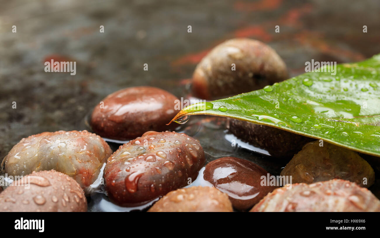 Pebbles in water background, spa concept Stock Photo - Alamy