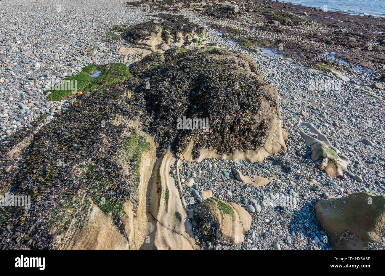 A closeup shot of a smooth rock formation in a seabed at low tide Stock ...