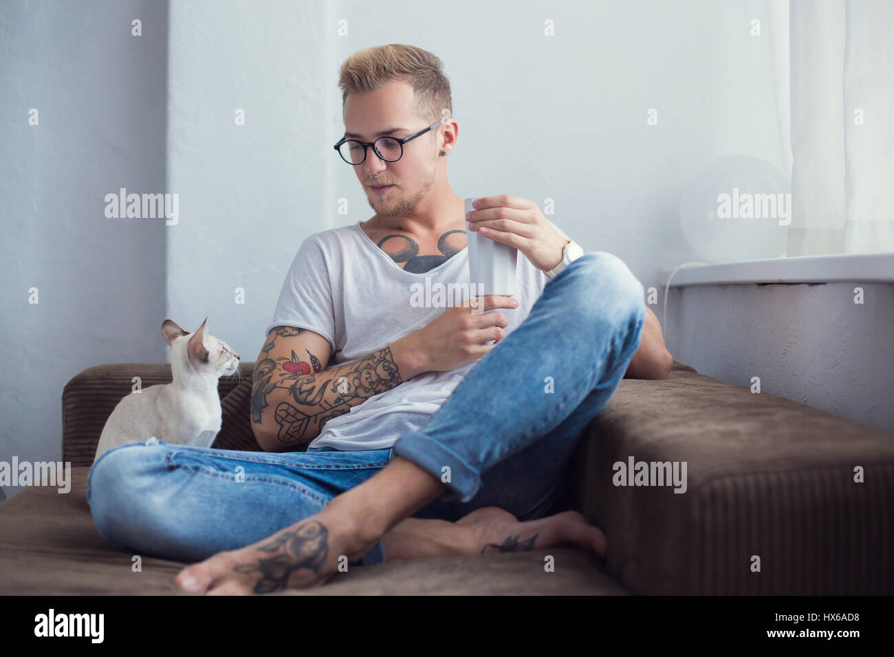 Man and a cat at home. Oriental Shorthair. Pets. Cat. Indoor portrait ...