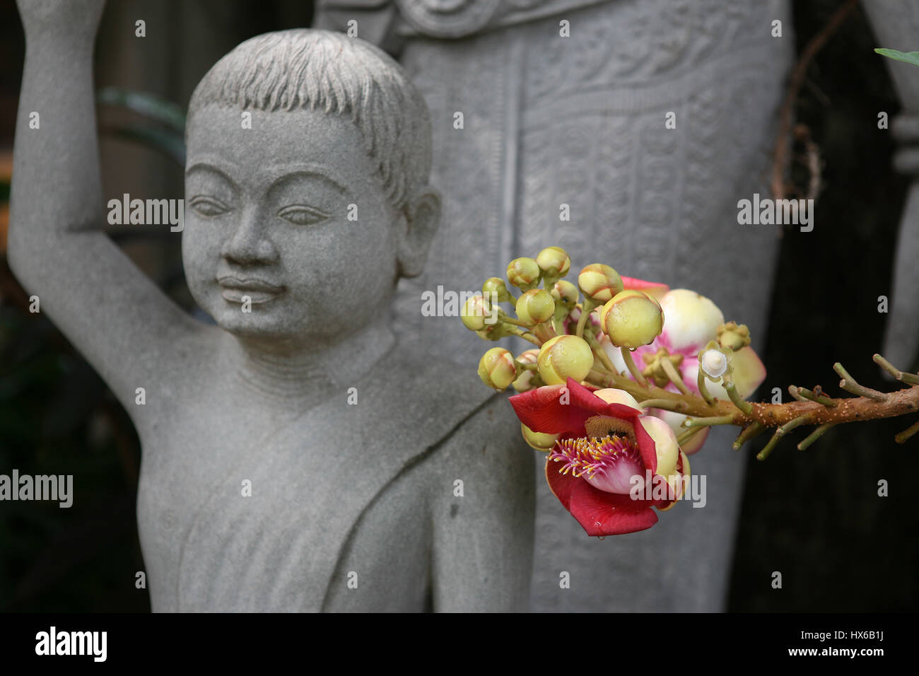 Statue of the boy Buddha, Silver Pagoda, Phnom Penh, Cambodia Stock ...
