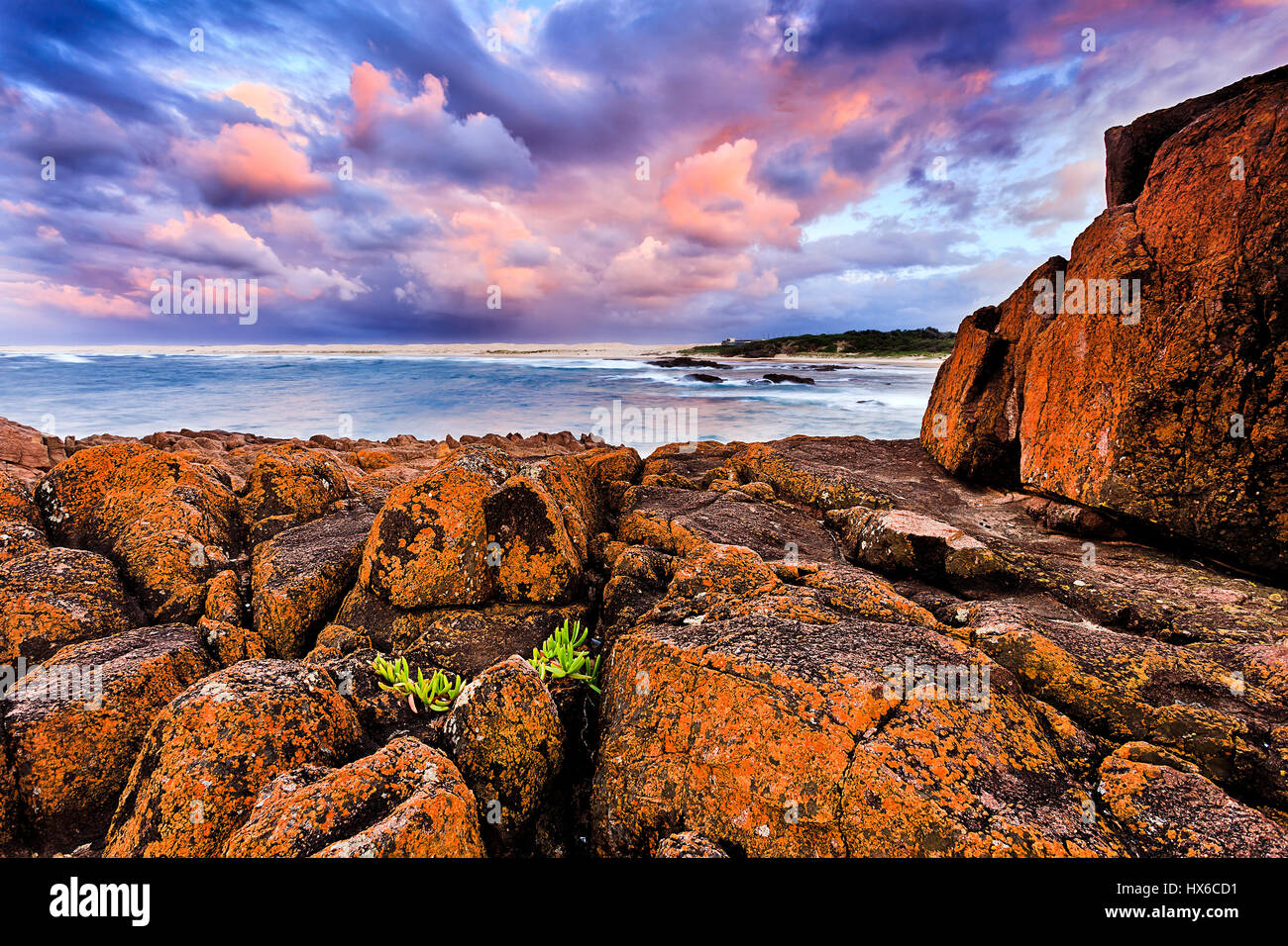 Red sandstone coastal rocks and boulders covered by bacteria which make ...