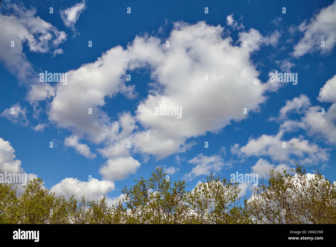 Cloudy day clouds moving sun hi-res stock photography and images - Alamy