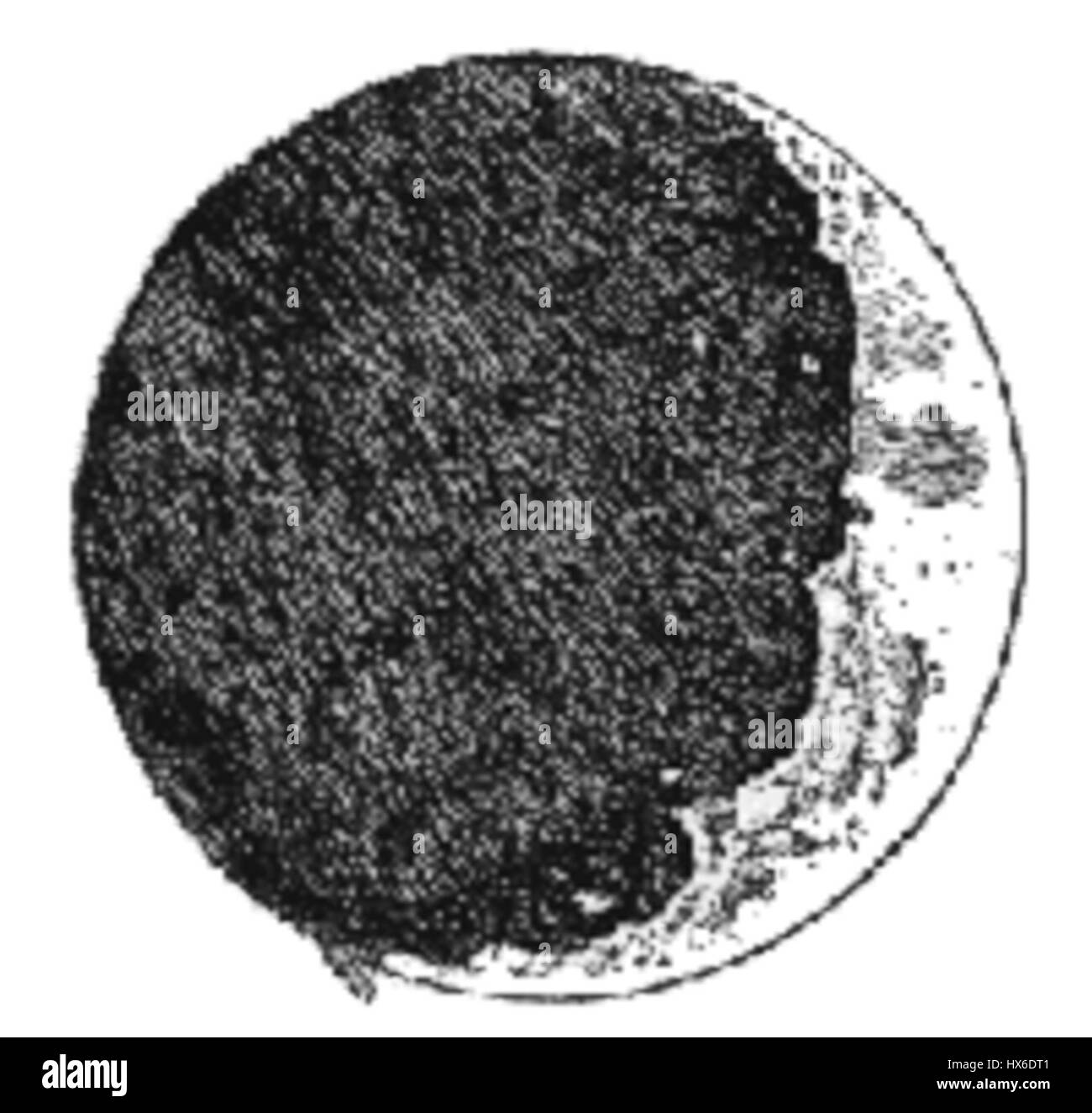 'Sidereus Nuncius', published in 1610 by Galileo Galilei, is a ...