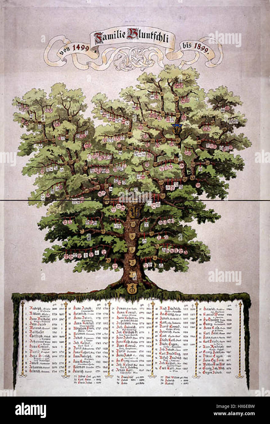 The 'Stammbaum Bluntschli' is a genealogical chart, typically depicting ...