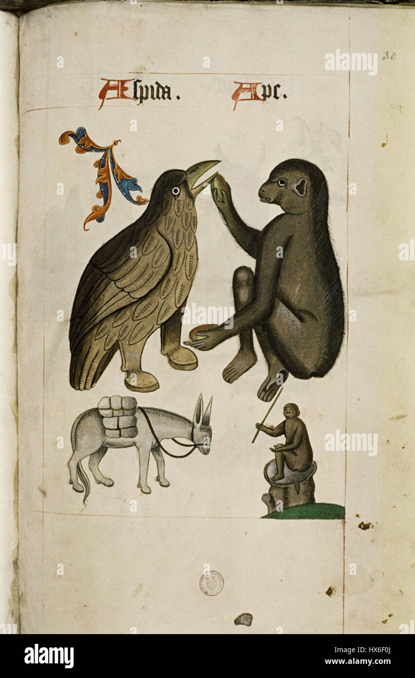 The Tudor pattern book MS. Ashmole 1504 is a historic manuscript ...