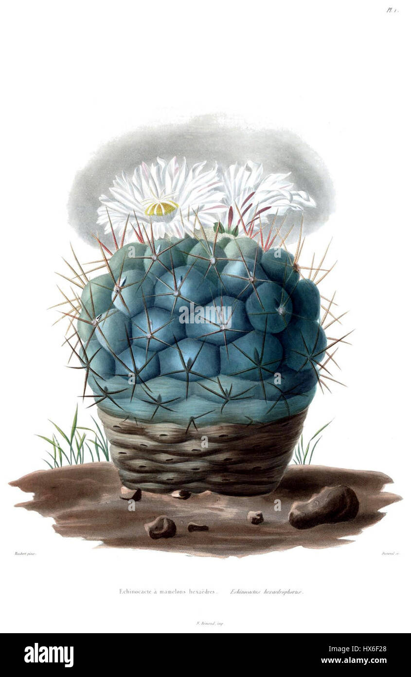 Lem drawing hi-res stock photography and images - Alamy