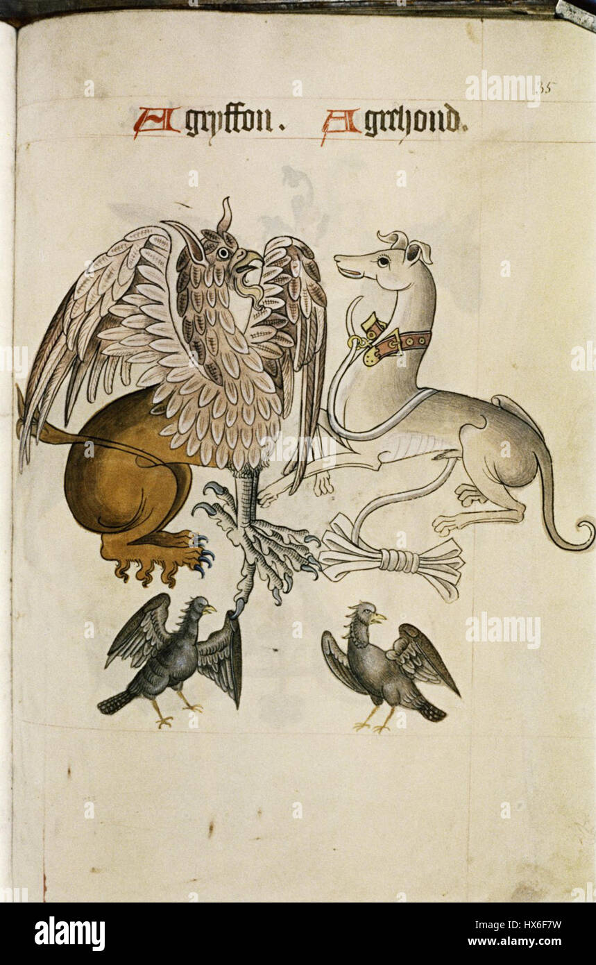 The Tudor pattern book, housed in MS Ashmole 1504, is a historical ...