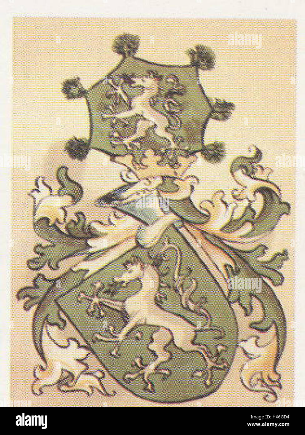 The 'Wappenbuch der Österreichischen Herzöge Steiermark' is a heraldic ...