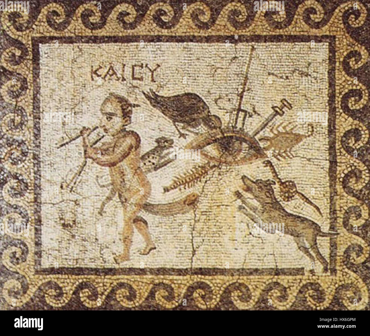 'Z40.2 Kakos' is a reference to an ancient Greek term, often used in ...