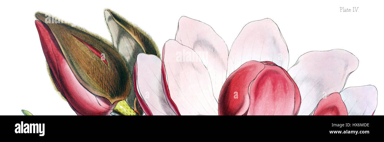 Small art gallery Cut Out Stock Images & Pictures - Alamy