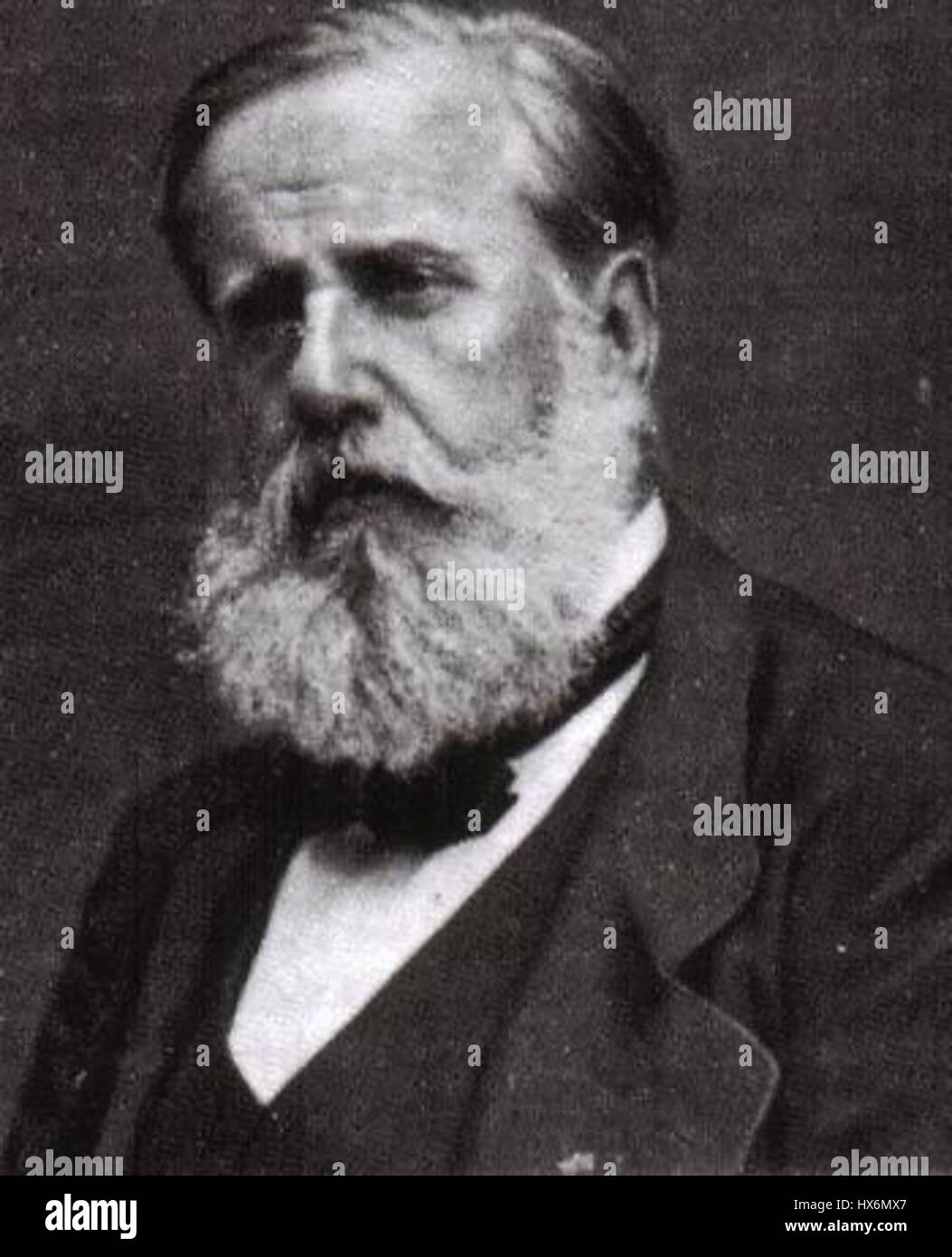 This portrait of Pedro II of Brazil depicts the monarch who ruled ...