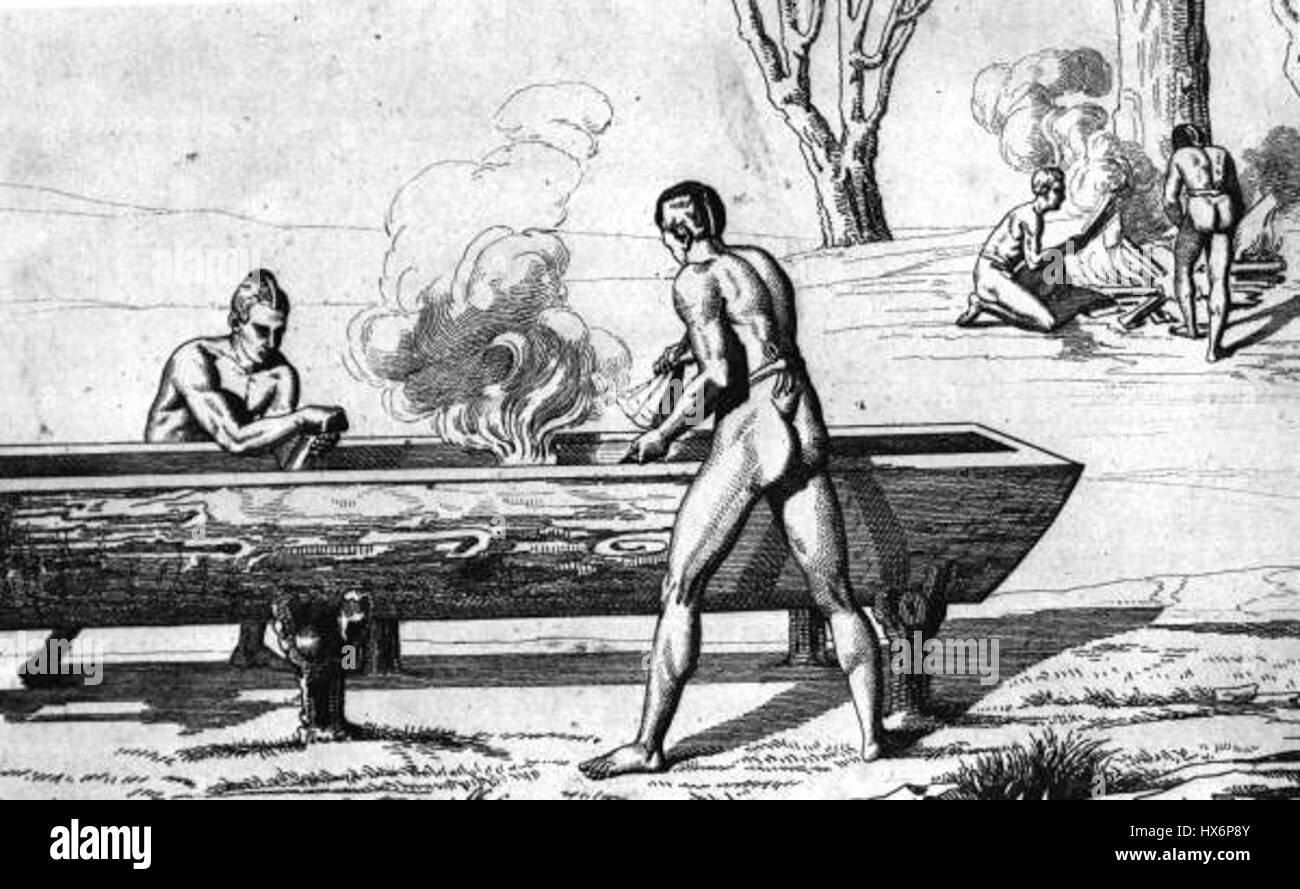 This historical image depicts Timucua Indian men carving a canoe ...