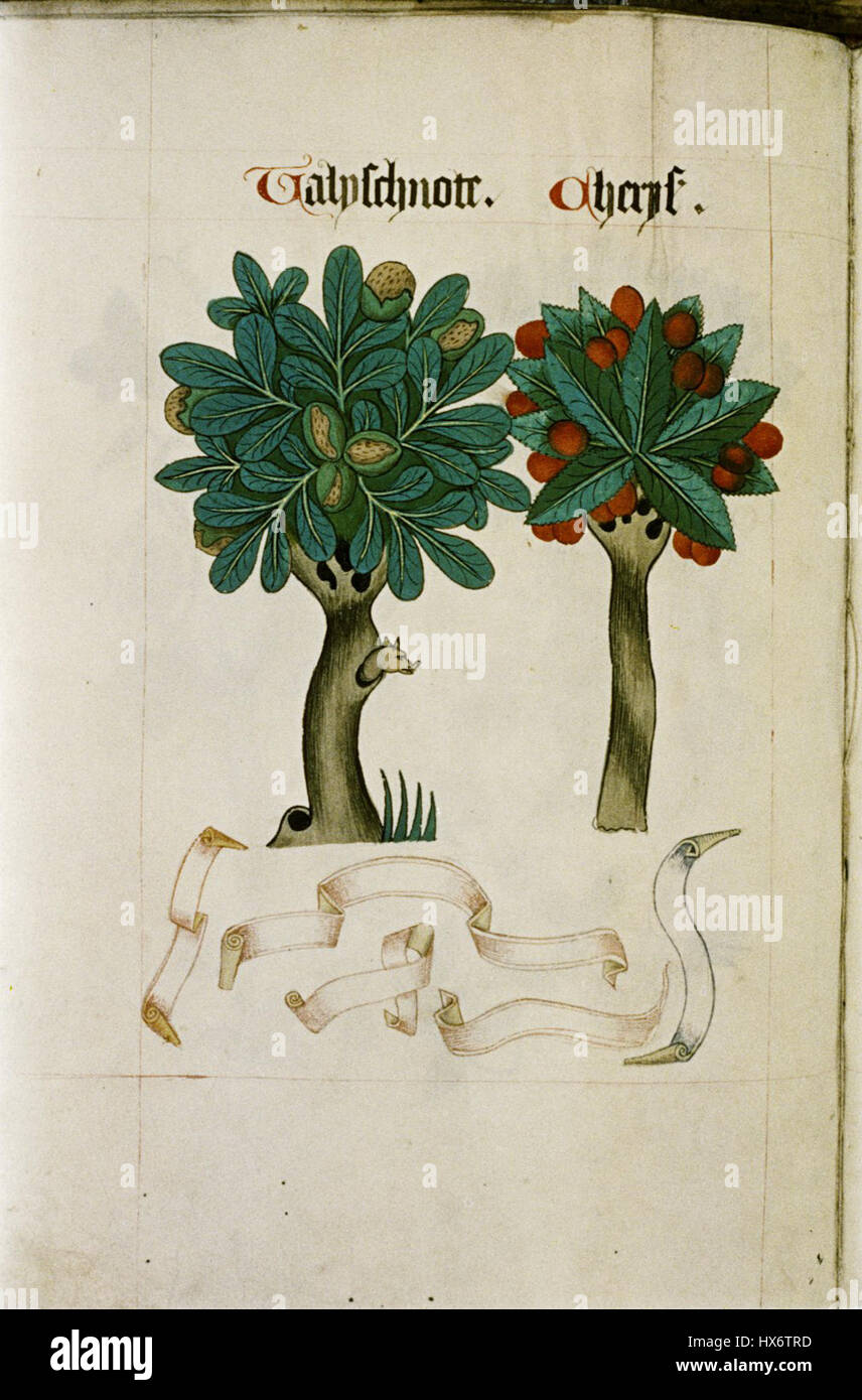 The Tudor pattern book MS. Ashmole 1504 is a historical manuscript that ...