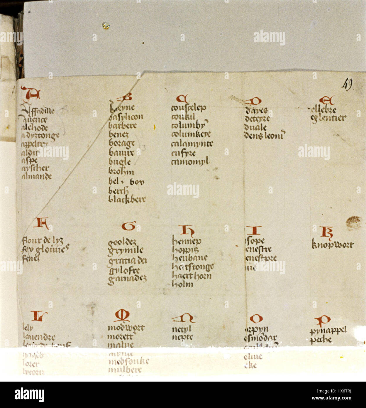 The Tudor pattern book, MS. Ashmole 1504, is a historical manuscript ...