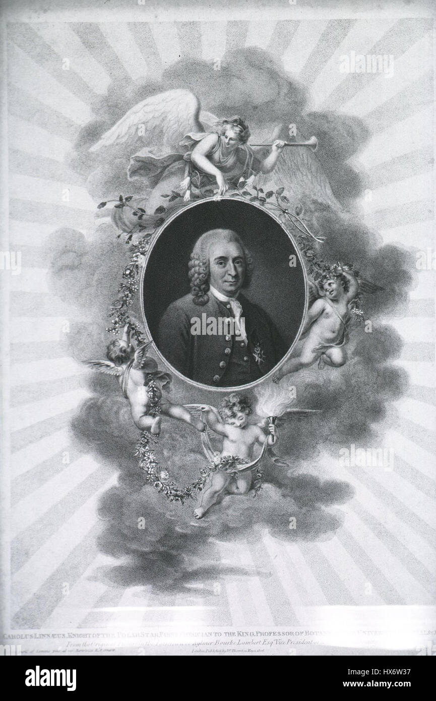 'The Temple of Flora' by Carolus Linnaeus is a botanical work that ...