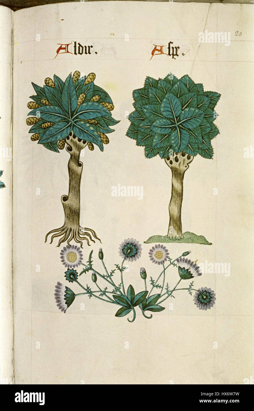 The Tudor pattern book MS. Ashmole 1504 contains detailed designs and ...