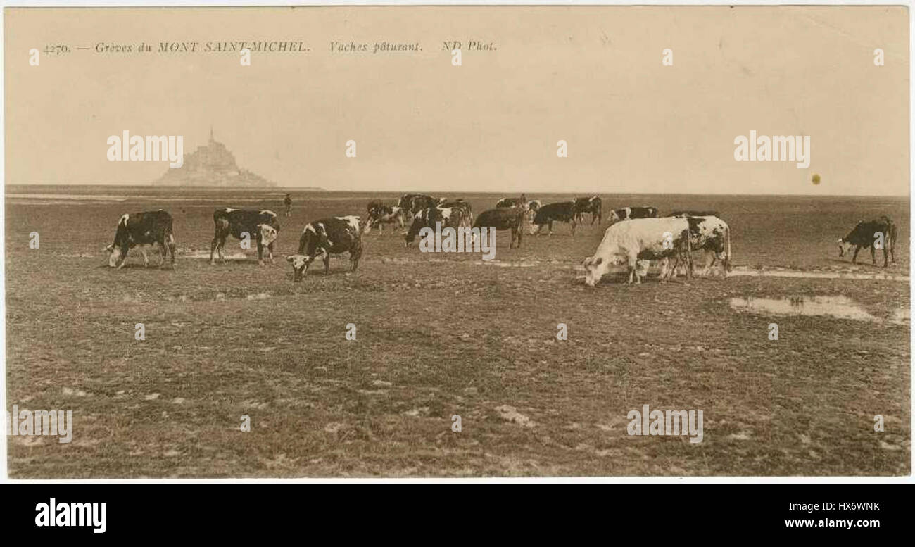 *Vaches sur les polders* depicts a tranquil rural scene in the lowlands ...