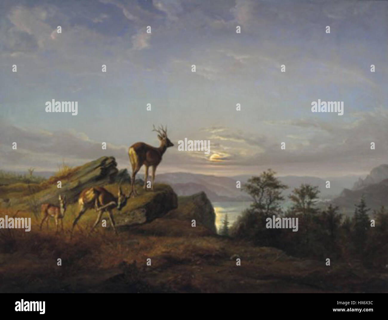 Tectonic plates diagram hi-res stock photography and images - Alamy