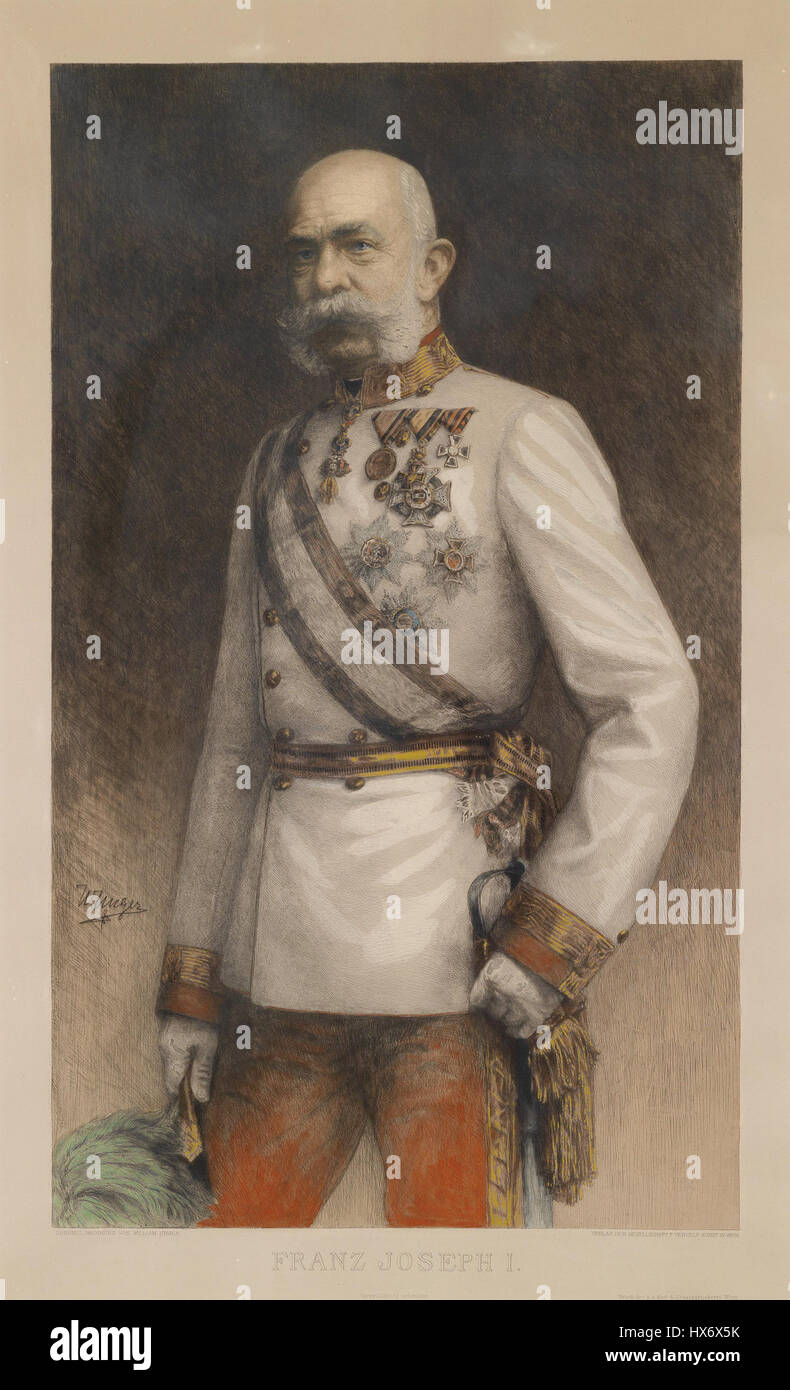 The portrait of Franz Joseph I by William Unger, created using the ...