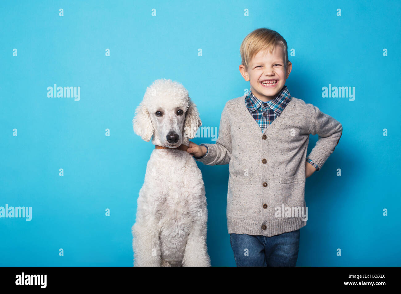 Fashionable boy with dog. Friendship. Pets. Studio portrait over blue ...