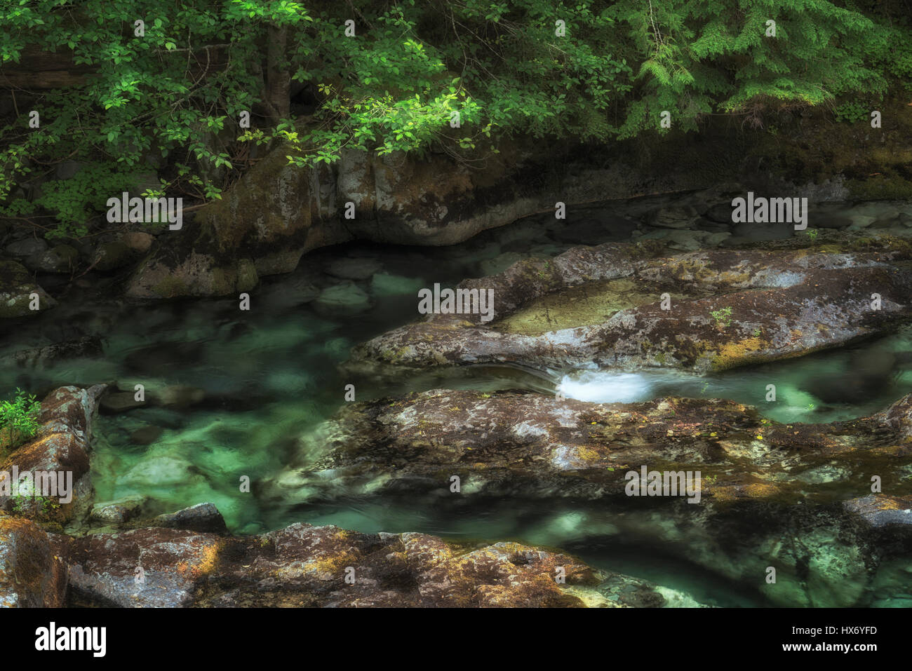 Willamette national forest hi-res stock photography and images - Alamy